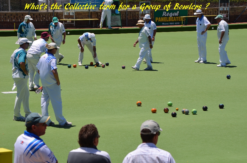 Gallery - Albany Bowling Club WA